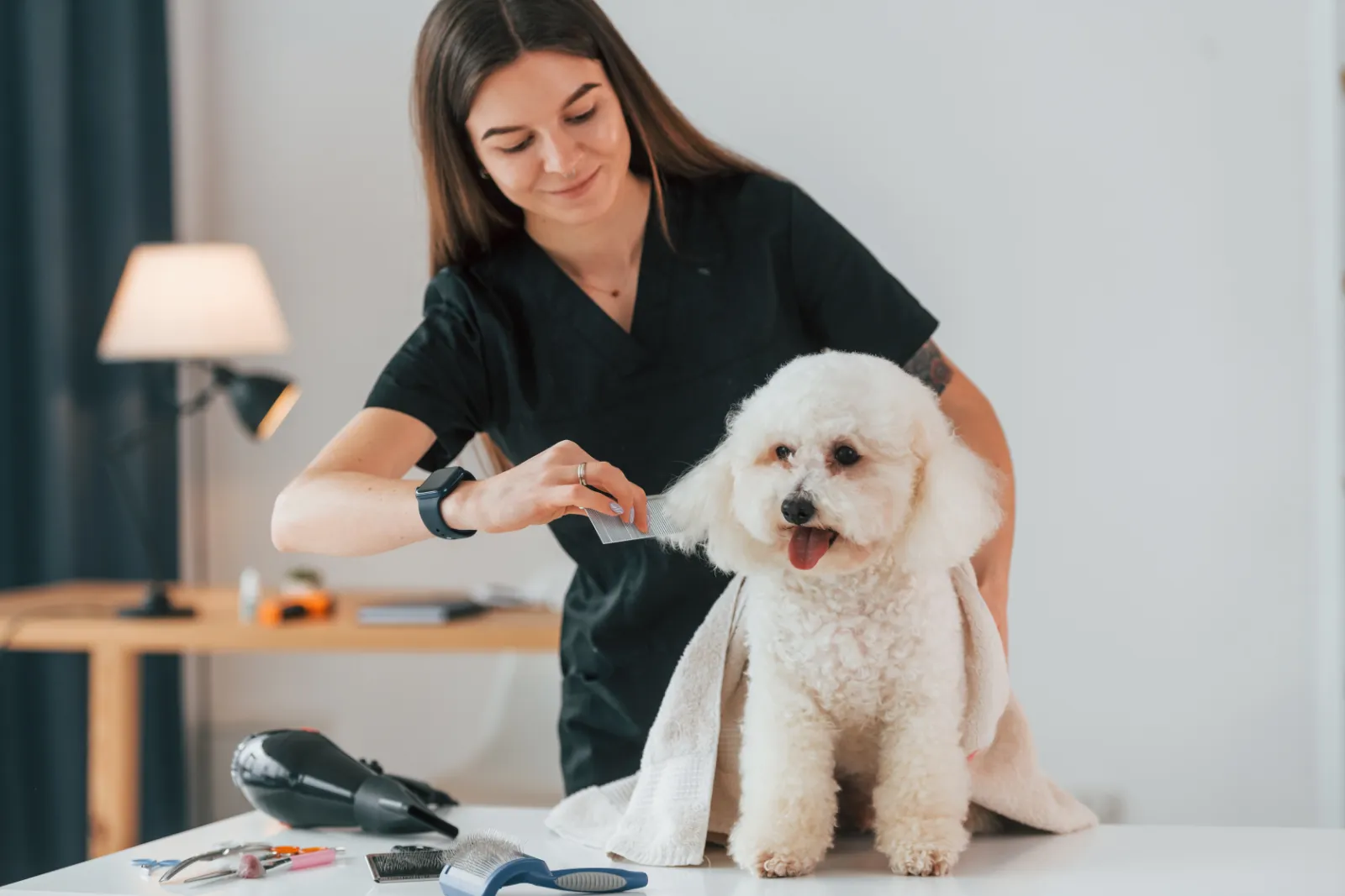 Toilettage des chiens : Conseils pour un pelage sain