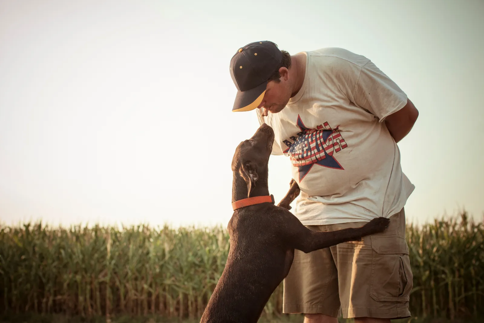 Chiens faciles à éduquer : races coopératives et conseils d'éducation ...